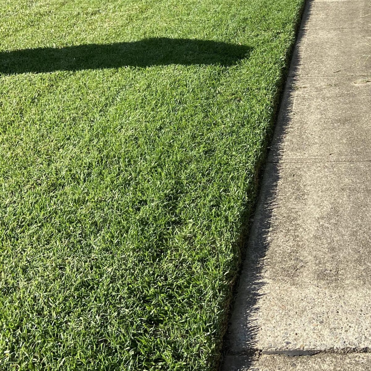 Examples of previous jobs - Wallaby Lawns
